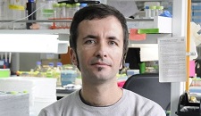 Doctor Claudio Hetz recibe premio Banco Santander a la Investigación ...